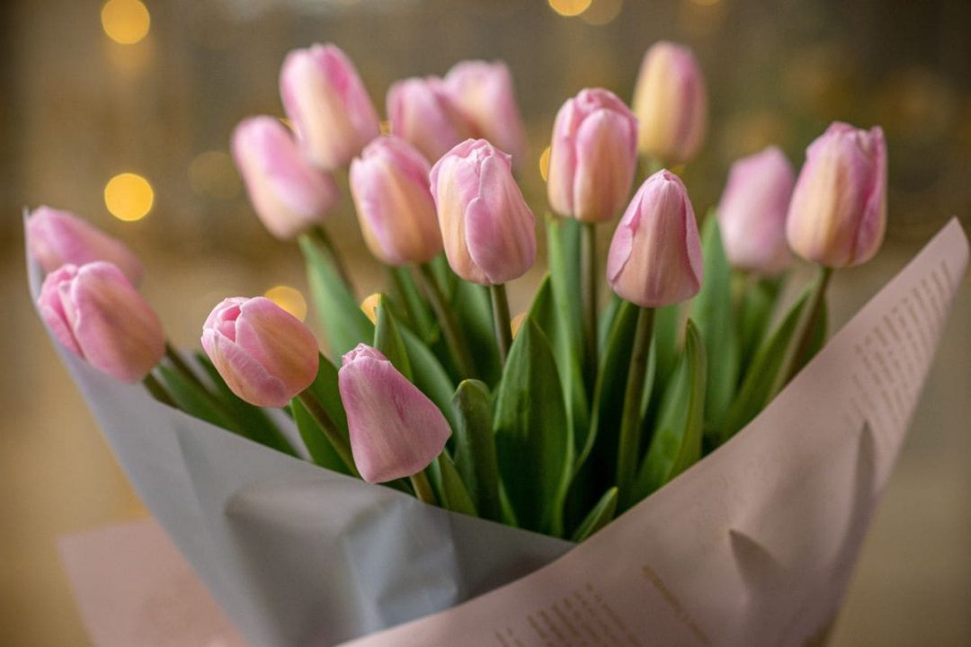 91 Tulip Quotes For All The Tulips Lovers - Plantisima