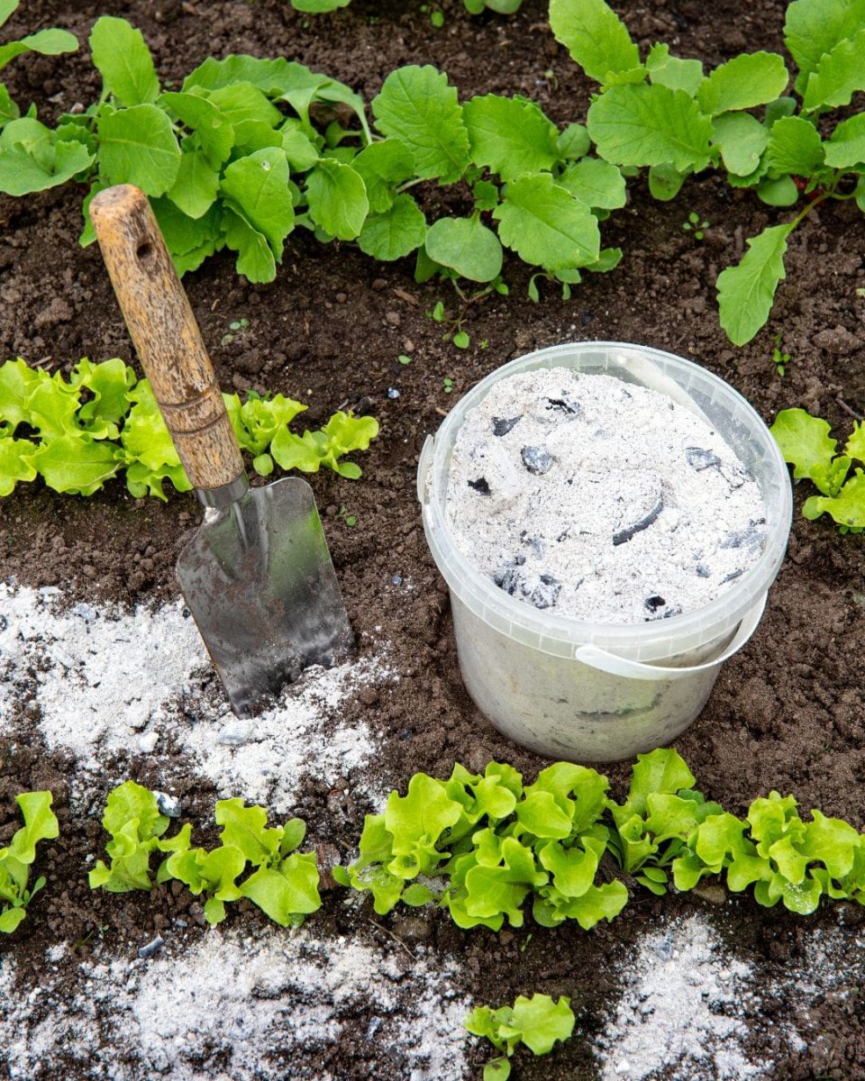 9 Simple Yet Effective Uses for Wood Ash in Your Home and Garden ...