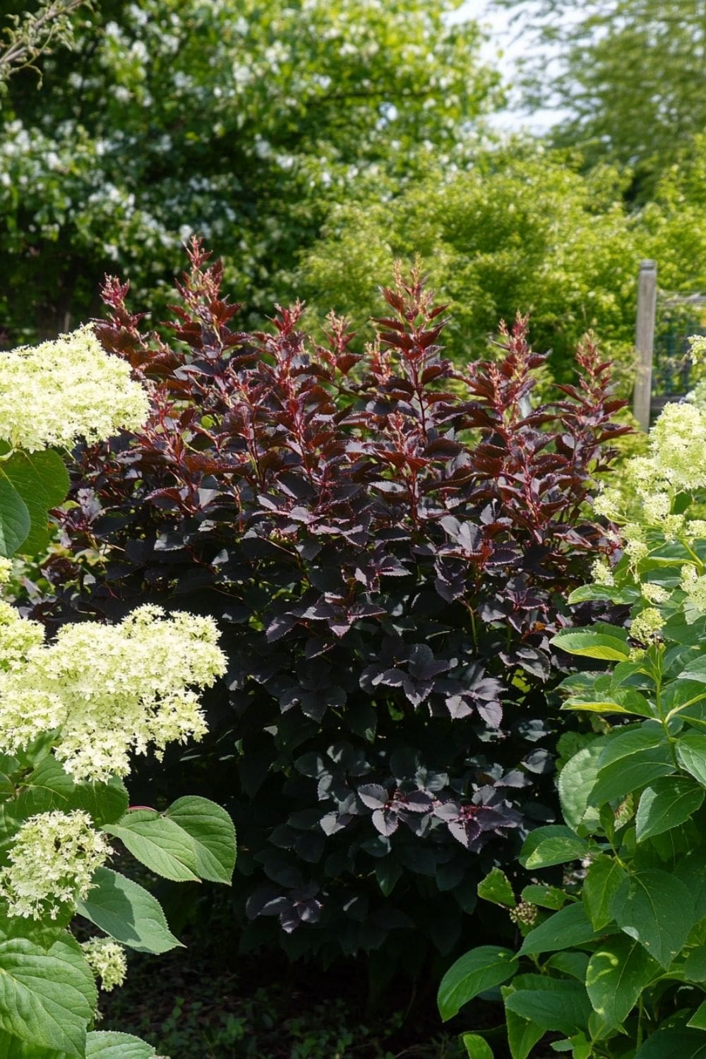 Is It Possible to Keep Your Garden Colorful All Fall Long? These 7 ...