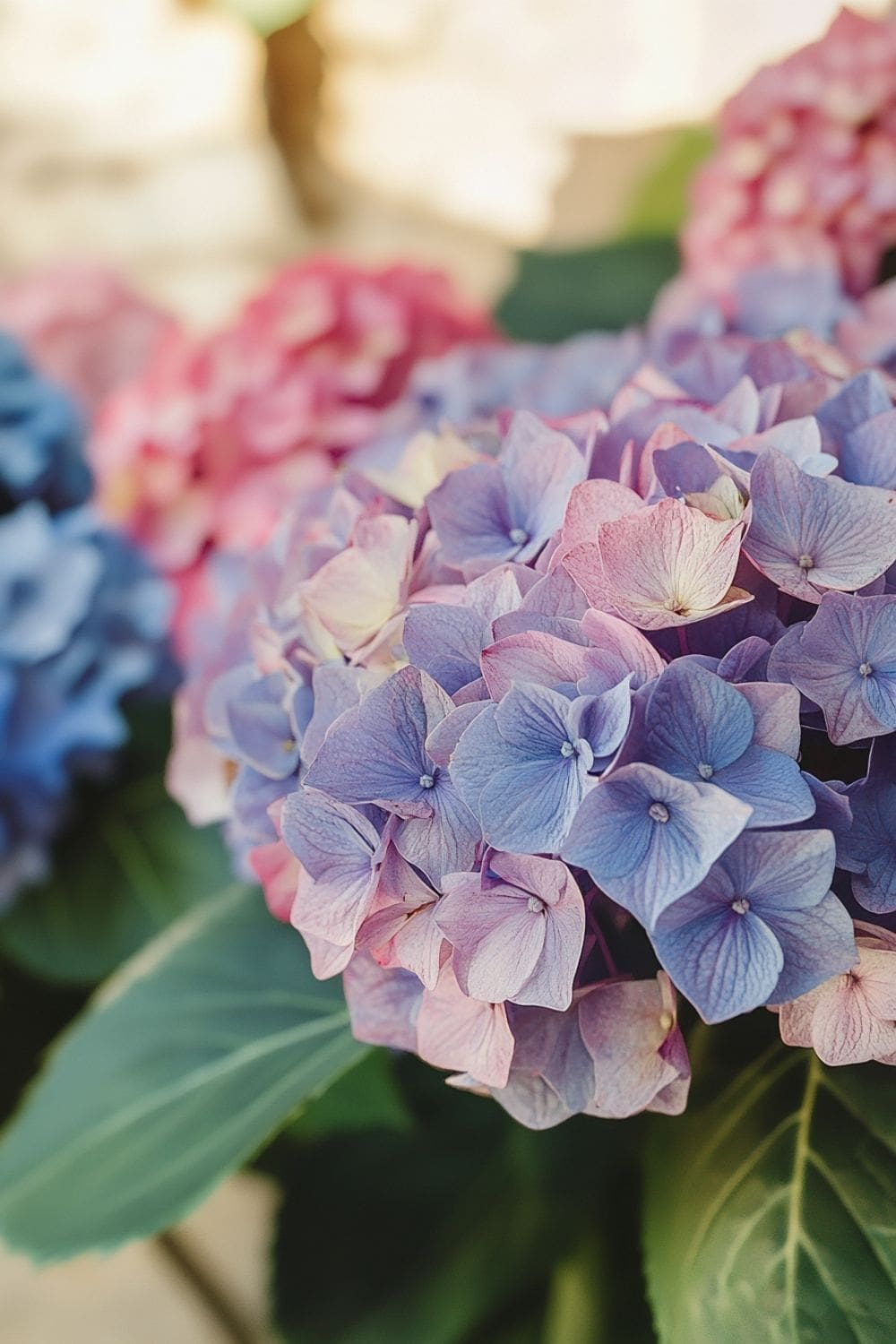 Is It Possible to Keep Your Garden Colorful All Fall Long? These 7 ...