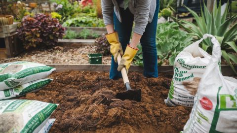 How to Improve Clay Soil for Gardening and Turn It into Fertile, Rich ...