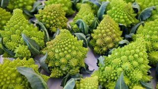 17 Strange-Looking Vegetables You Should Try Growing This Year