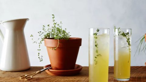 22 Plants That Pair Perfectly with Your Favorite Cocktails