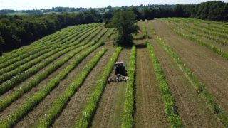 Agroforestry Practices: Integrating Trees into Agricultural Landscapes ...