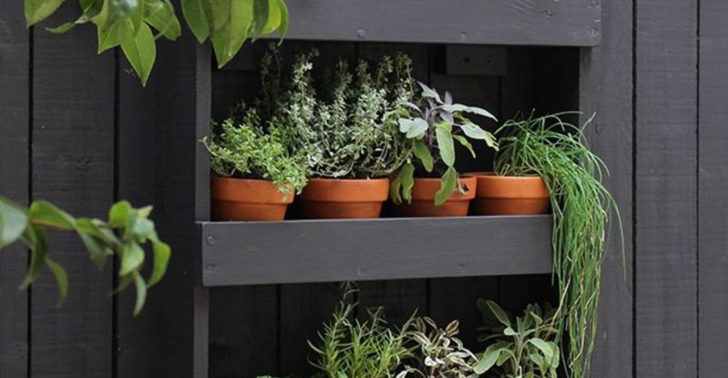 How to Create a Vertical Garden in Small Spaces: 10 Easy Steps - Plantisima