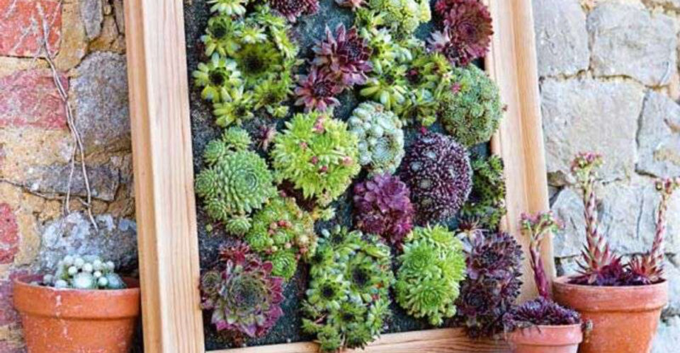18 Vertical Garden Ideas for Tiny Yards, Patios, or Balconies - Plantisima